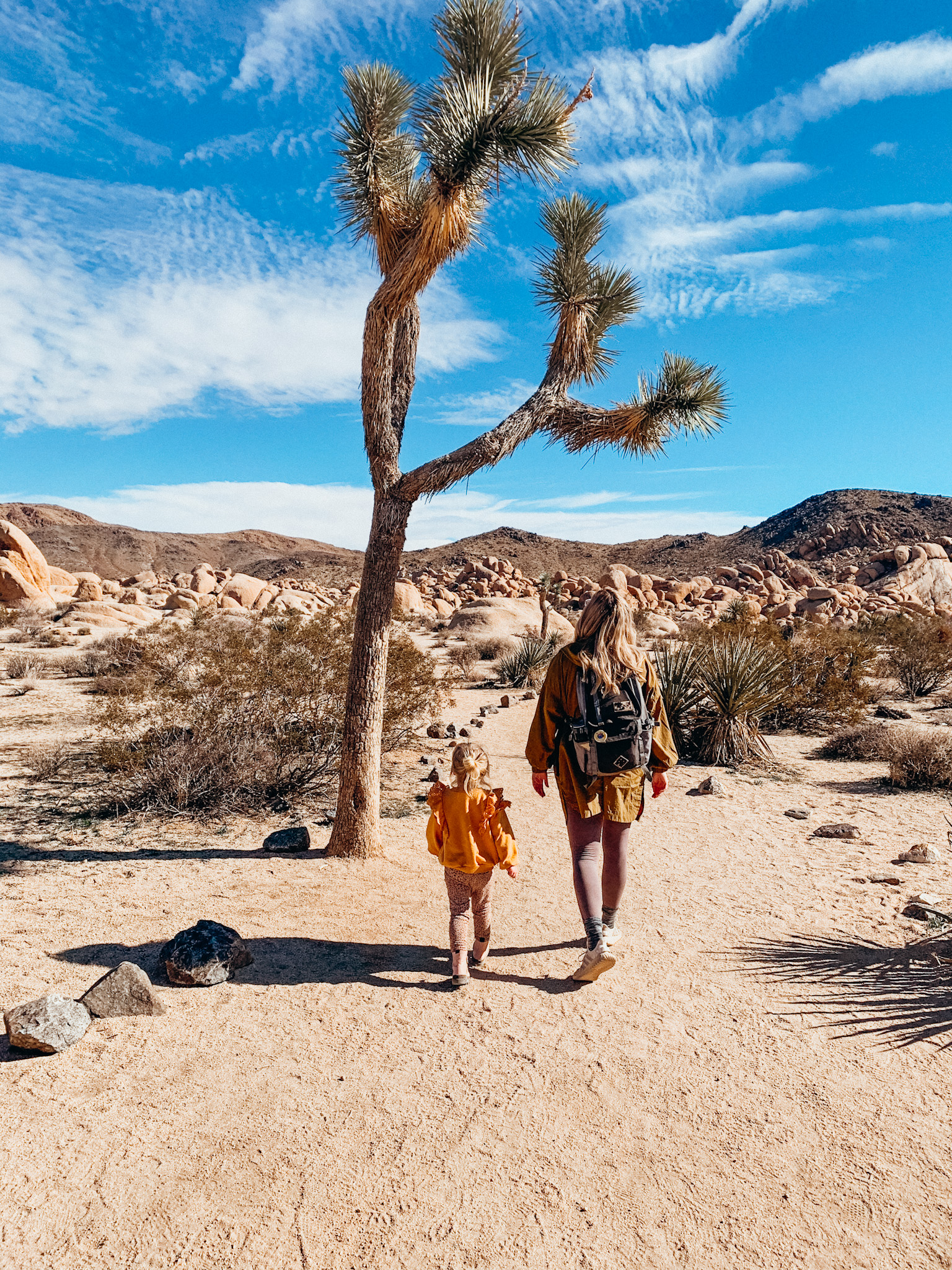 The Ultimate Guide to Joshua Tree with Kids: Things to do + Top Tips ...