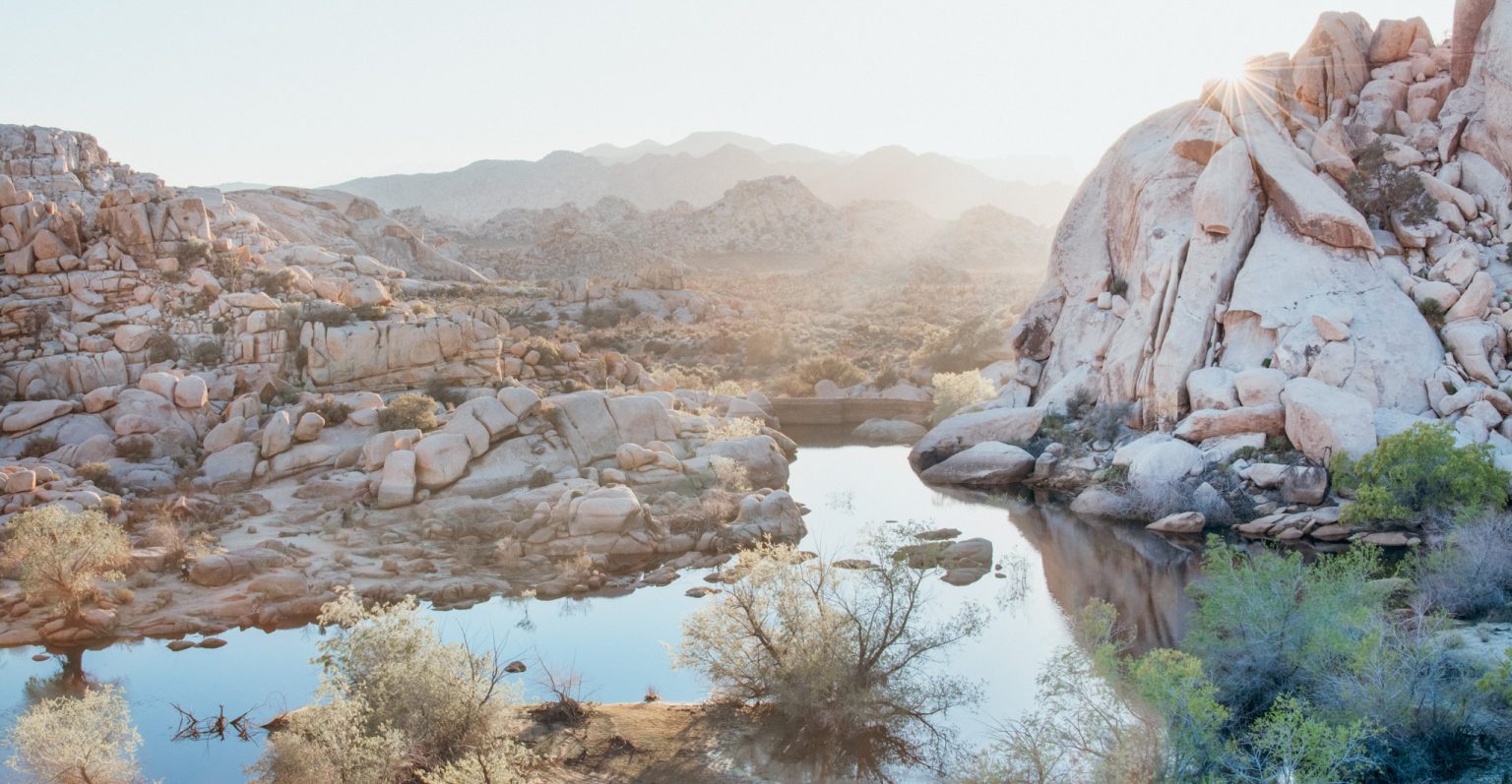 12 Gorgeous Joshua Tree Hikes You Need to Take (From Easy to Difficult ...